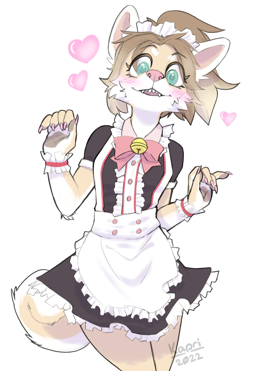 The Big ImageBoard (TBIB)