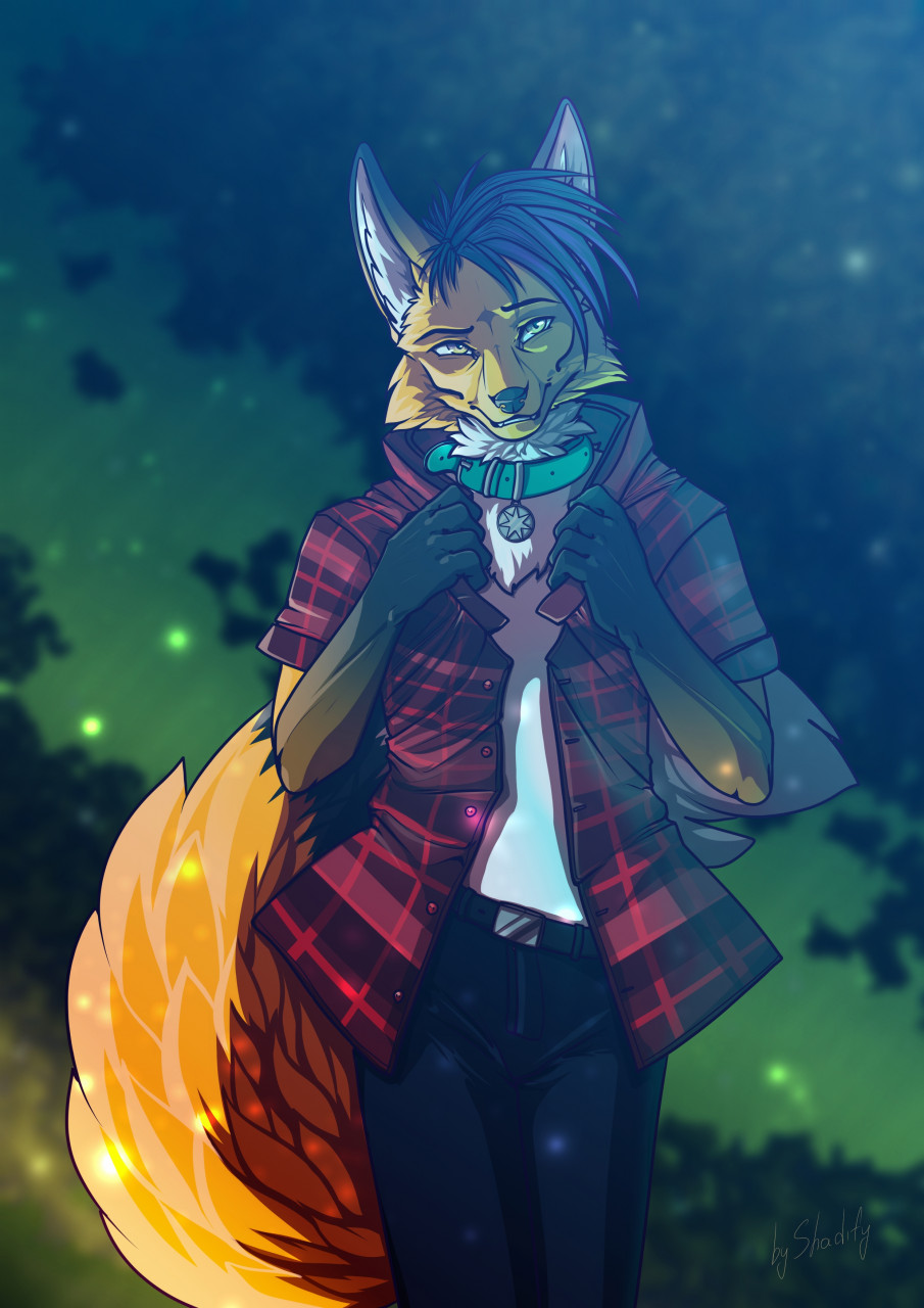 The Big ImageBoard (TBIB) - 2022 5 fingers black hair canid canine collar digital media (artwork ...