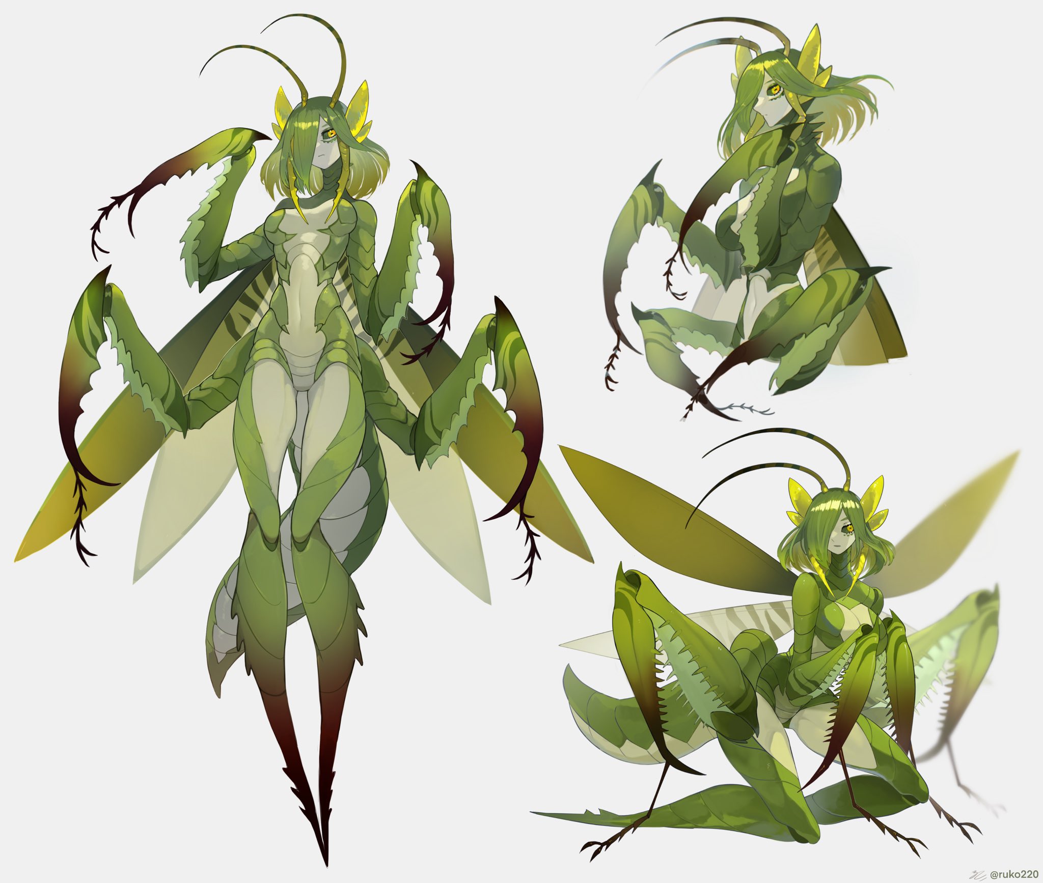 The Big ImageBoard (TBIB) - animal humanoid antennae (anatomy) arthropod arthropod humanoid ...