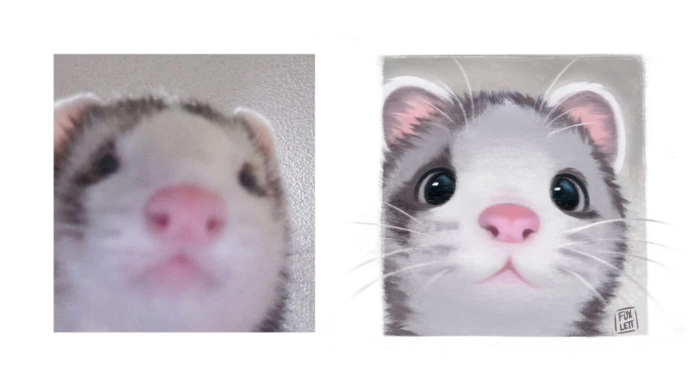 The Big ImageBoard (TBIB) - :3 animal animal focus close-up commentary ...