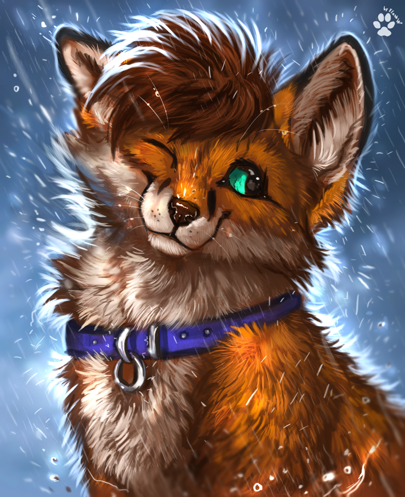 The Big ImageBoard (TBIB) - 2022 ambiguous gender brown body brown fur brown hair canid canine ...