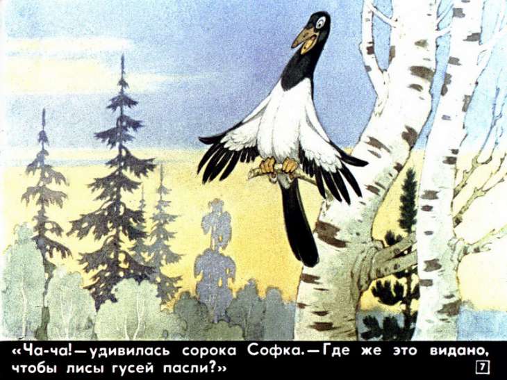 The Big ImageBoard (TBIB) - 1985 ambiguous gender avian birch tree bird ...