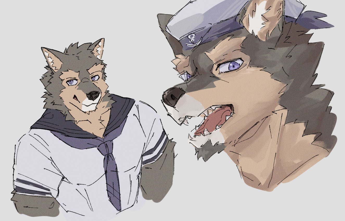 The Big ImageBoard (TBIB) - anthro brown body brown fur canid canine canis clothing domestic dog ...