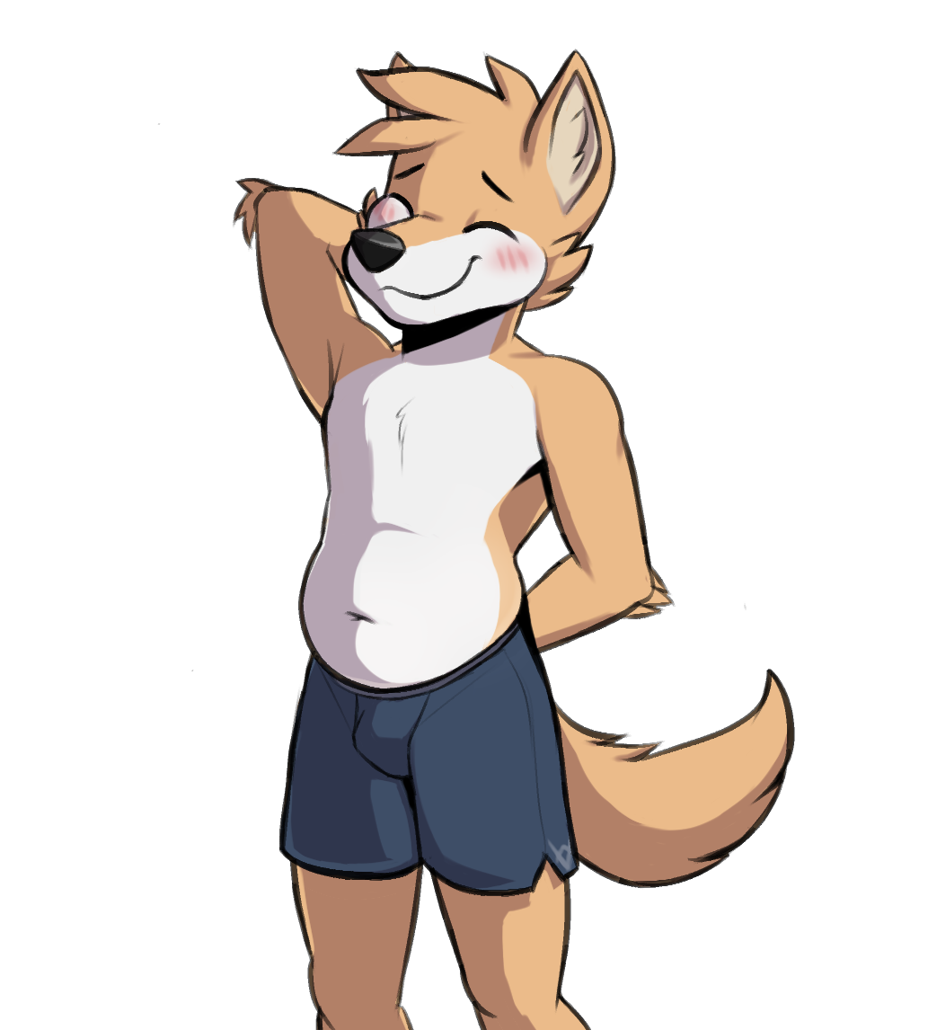 The Big Imageboard Tbib Anthro Belly Blush Bottomwear Bulge Canid