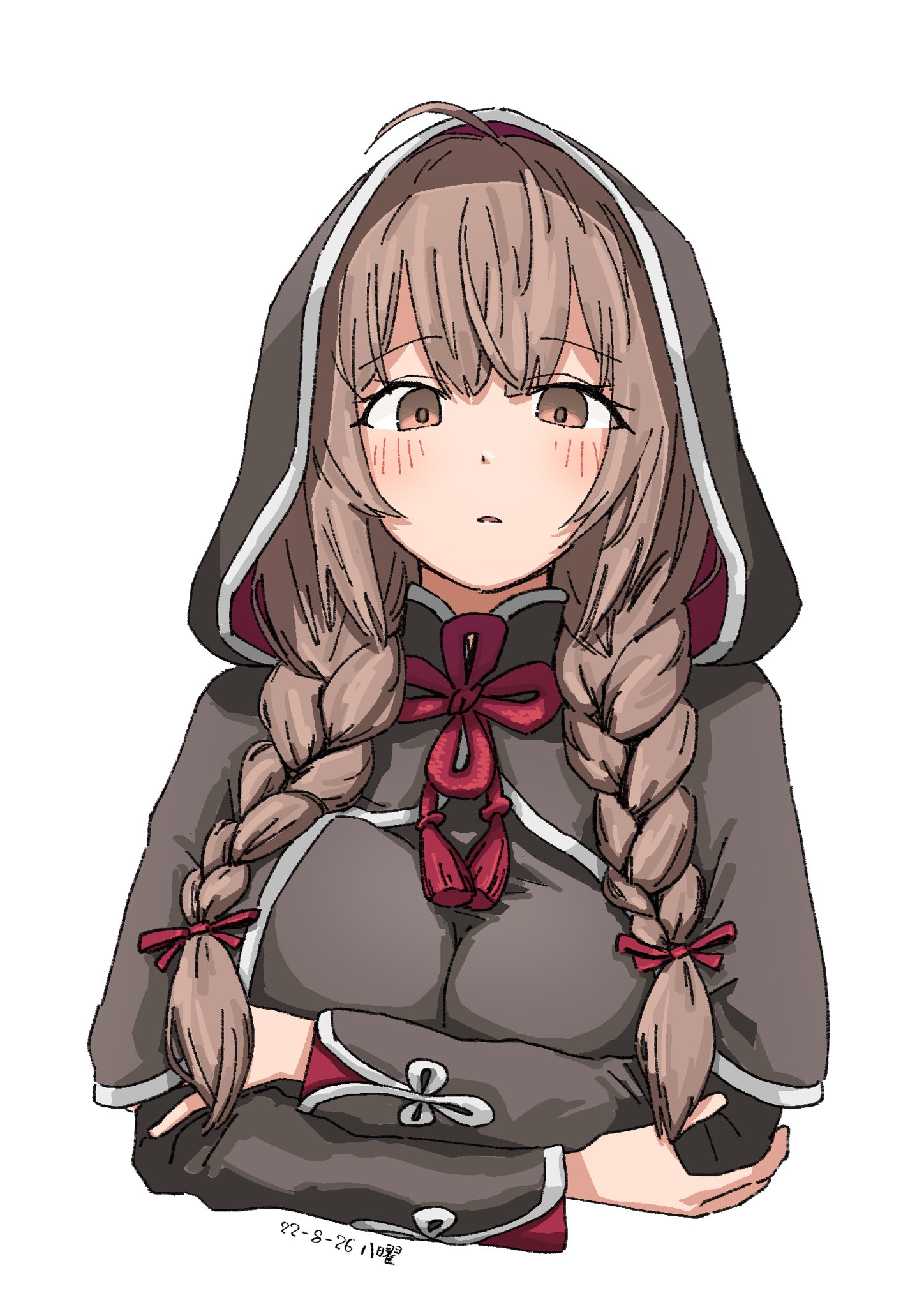 The Big ImageBoard (TBIB) - 1girl black capelet braid breasts brown eyes brown hair capelet ...