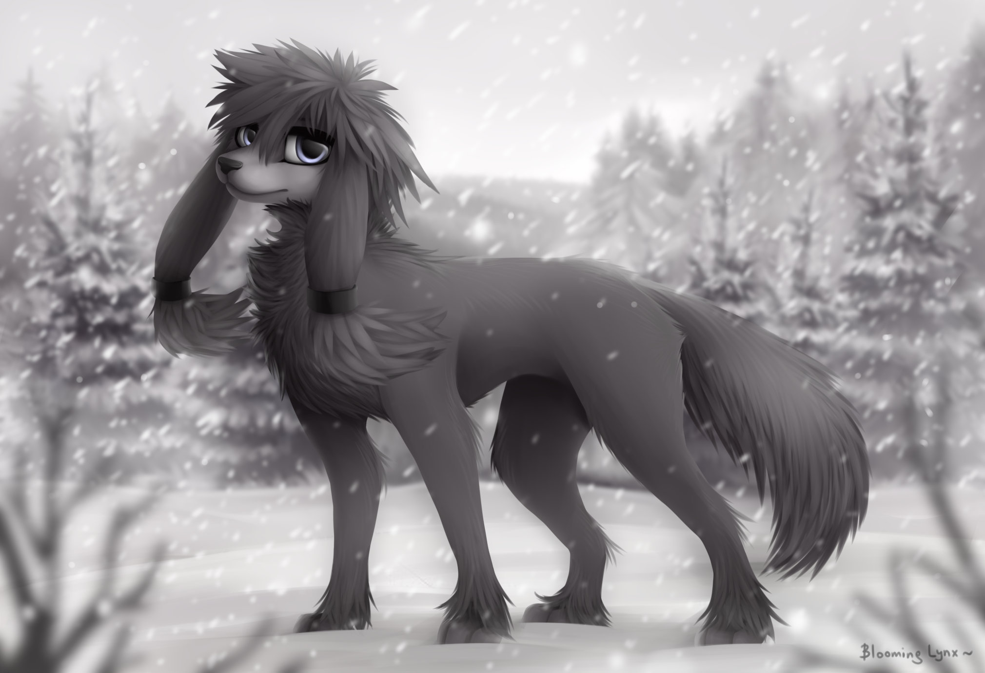 The Big ImageBoard (TBIB) - 2020 ambiguous gender black nose bloominglynx blue eyes day detailed ...