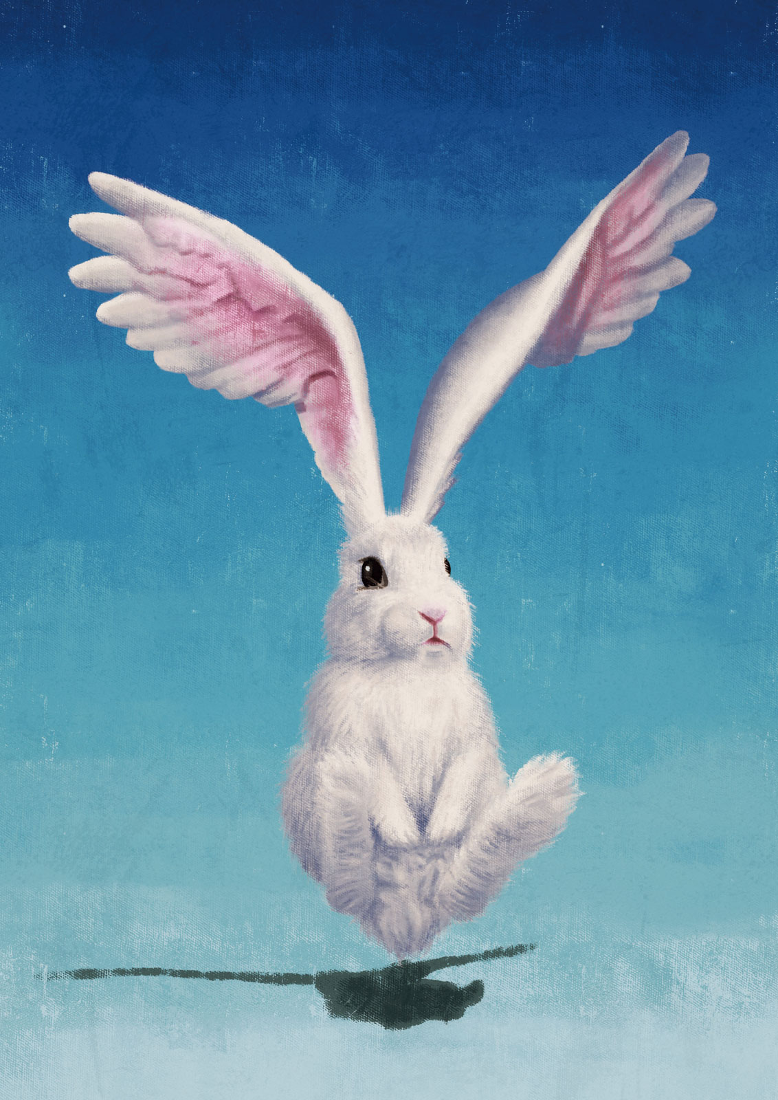 The Big ImageBoard (TBIB) - animal animal focus black eyes blue sky ...