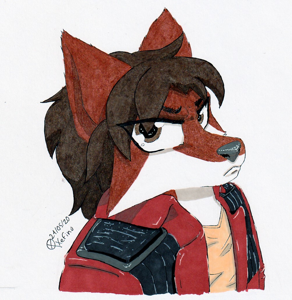 The Big ImageBoard (TBIB) - anthro brown eyes brown hair canid canine ...