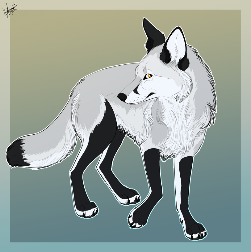 The Big ImageBoard (TBIB) - ambiguous gender black tail tip canid canine dipstick tail feral ...