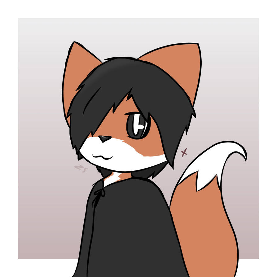 The Big ImageBoard (TBIB) - ambiguous gender anthro black hair canid canine cloak clothing fox ...