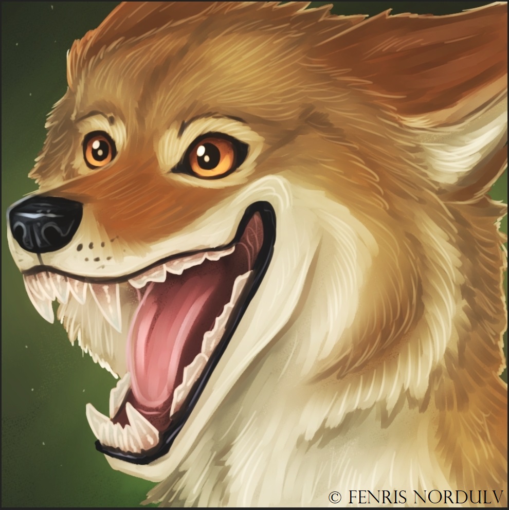 The Big ImageBoard (TBIB) - anthro canid canine canis coyote loke male mammal nordulv solo were ...