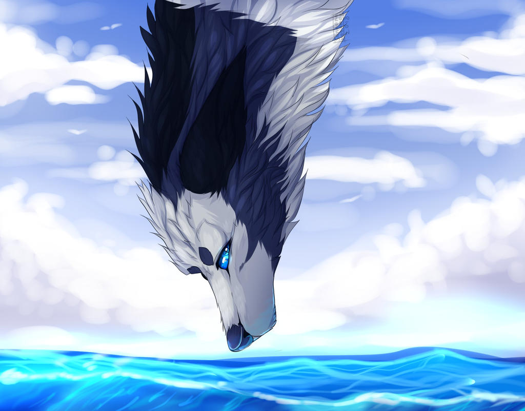 The Big ImageBoard (TBIB) - ambient bird ambiguous gender avian bird black body black fur blue ...