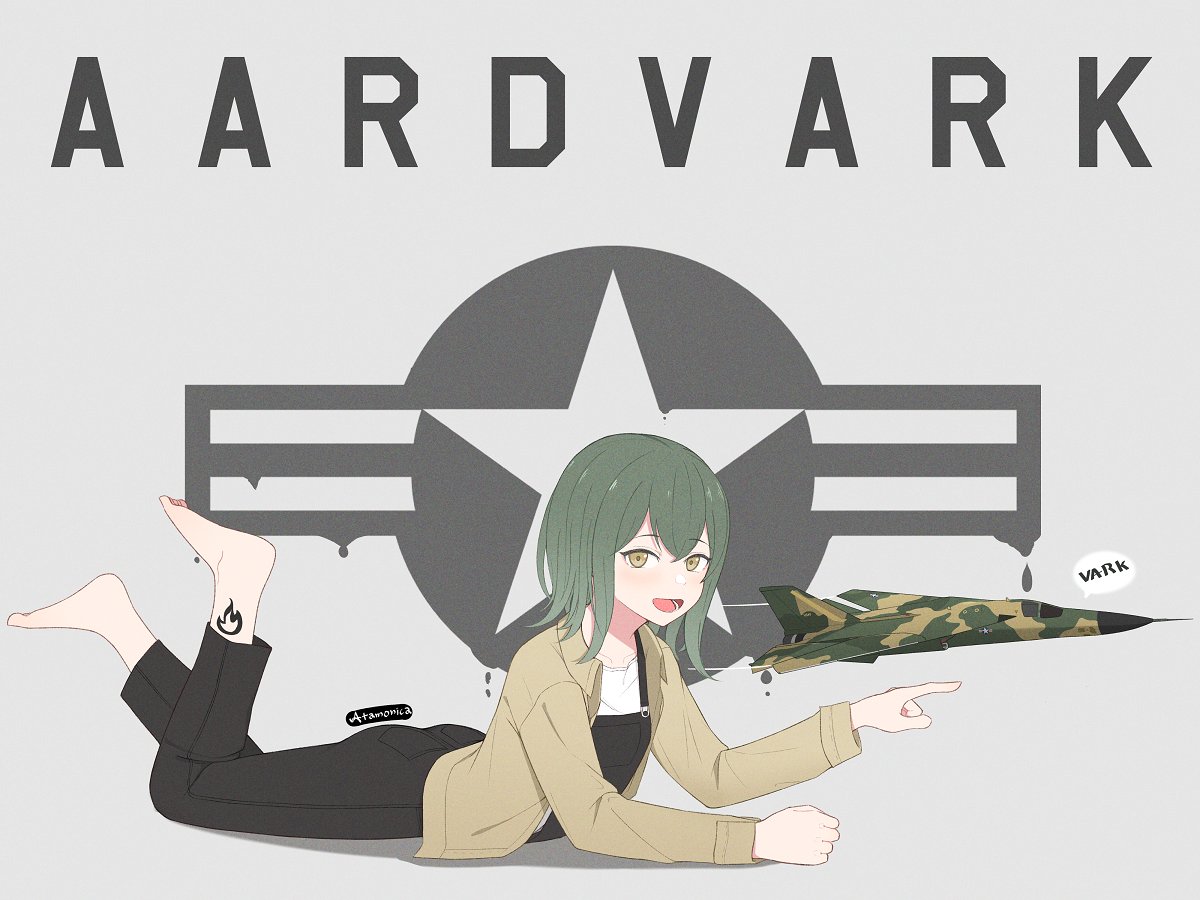 The Big ImageBoard (TBIB) - 1girl aircraft airplane artist name atamonica f-111 aardvark jet ...