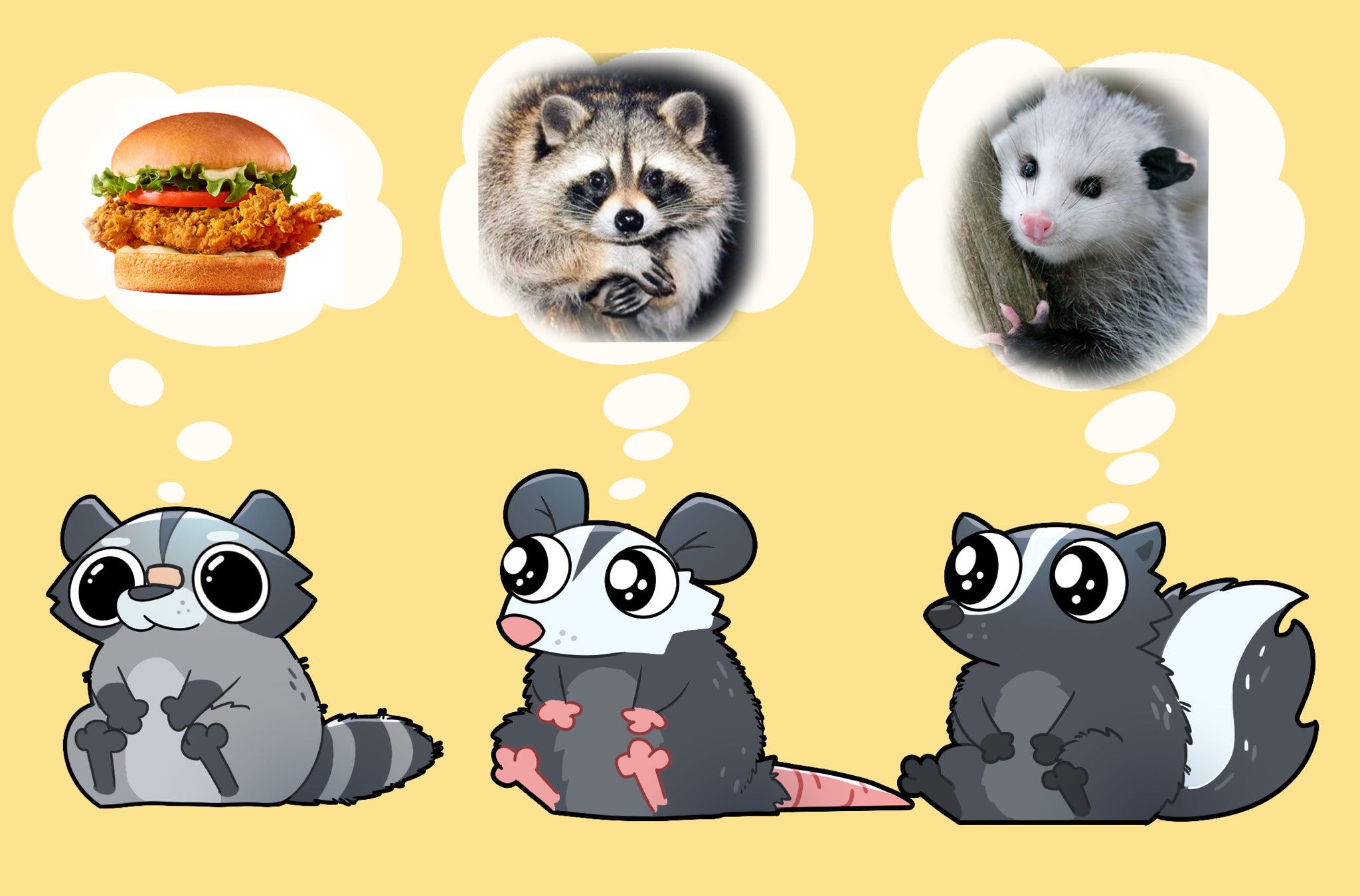 The Big Imageboard Tbib 2022 American Opossum Black Body Black Eyes 0667