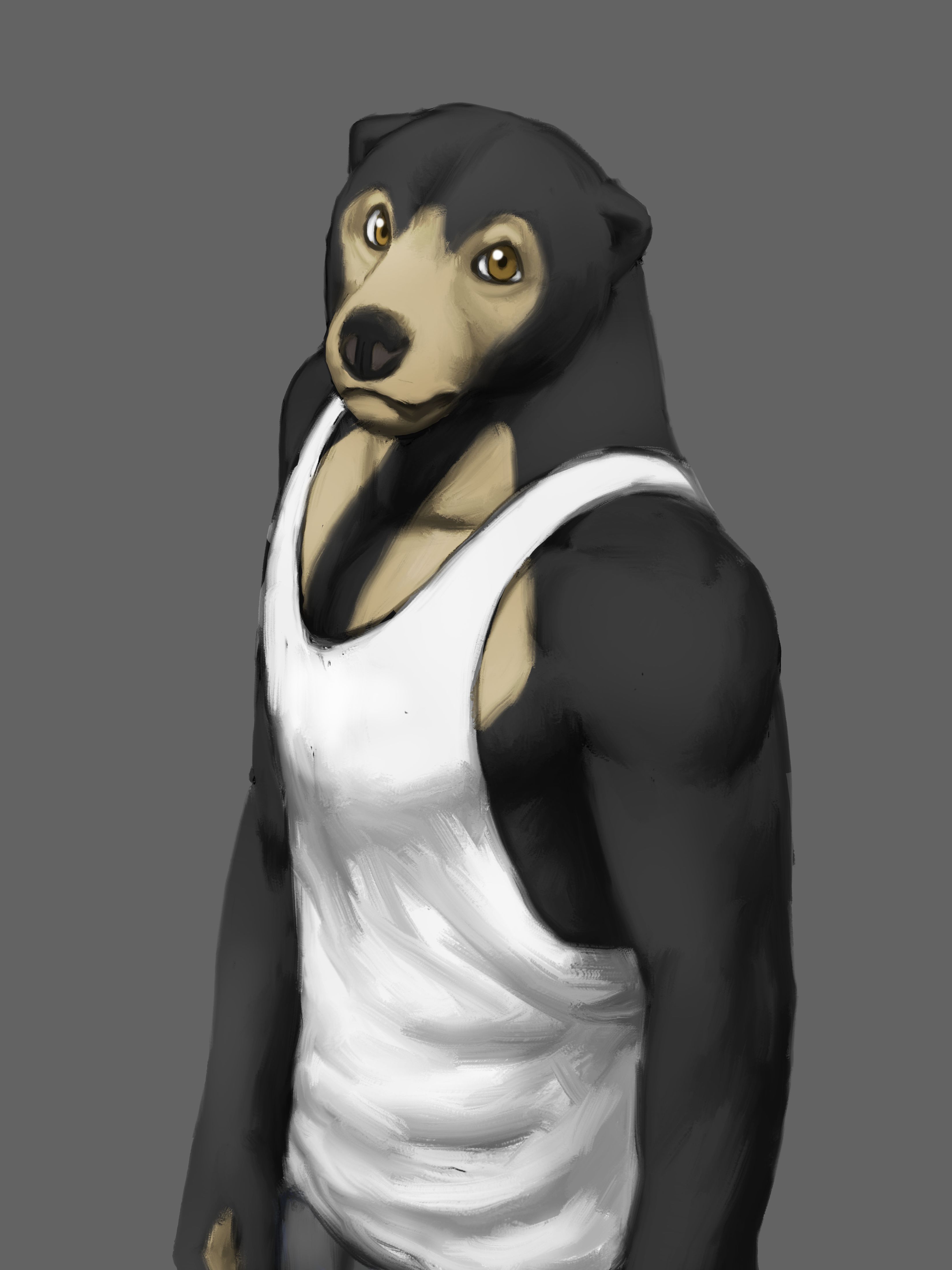 The Big ImageBoard (TBIB) - absurd res hi res male mamau (mamaubear) mamaubear mammal solo sun ...