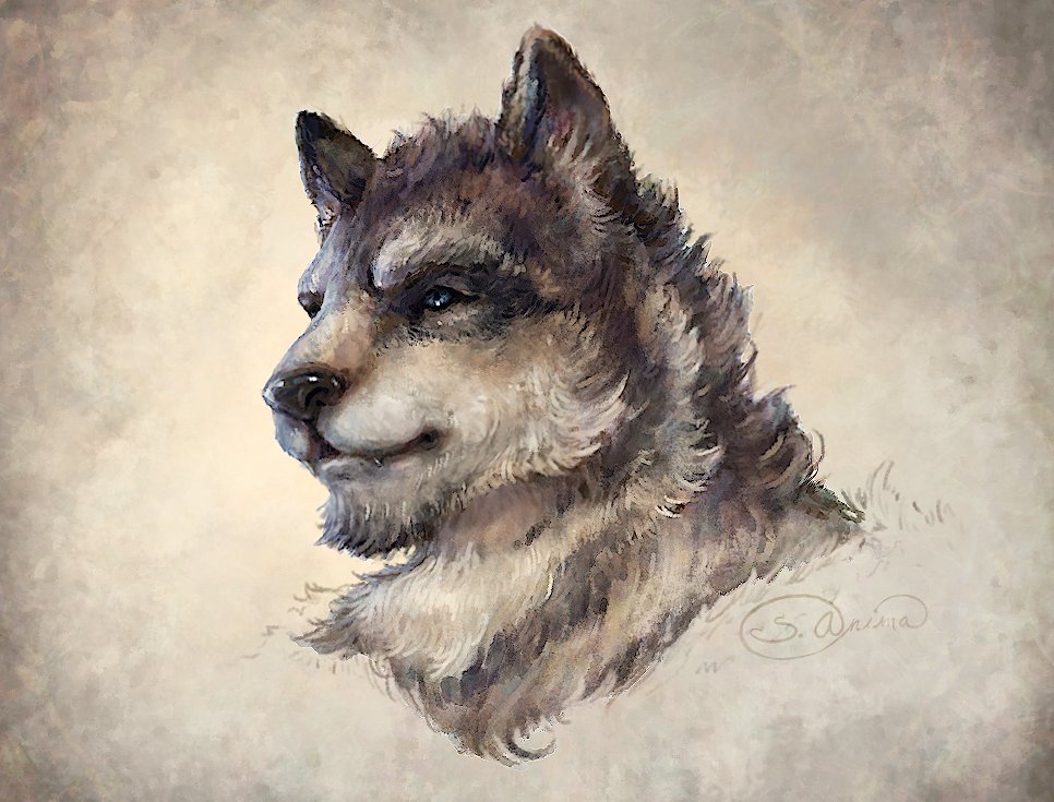 The Big ImageBoard (TBIB) - 2021 anthro black nose canid canine canis digital media (artwork ...