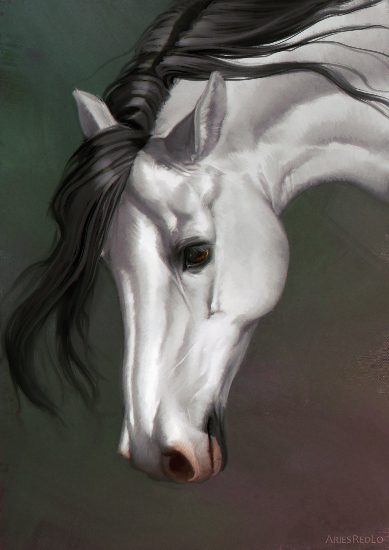 The Big ImageBoard (TBIB) - black hair brown eyes deith cared digital ...