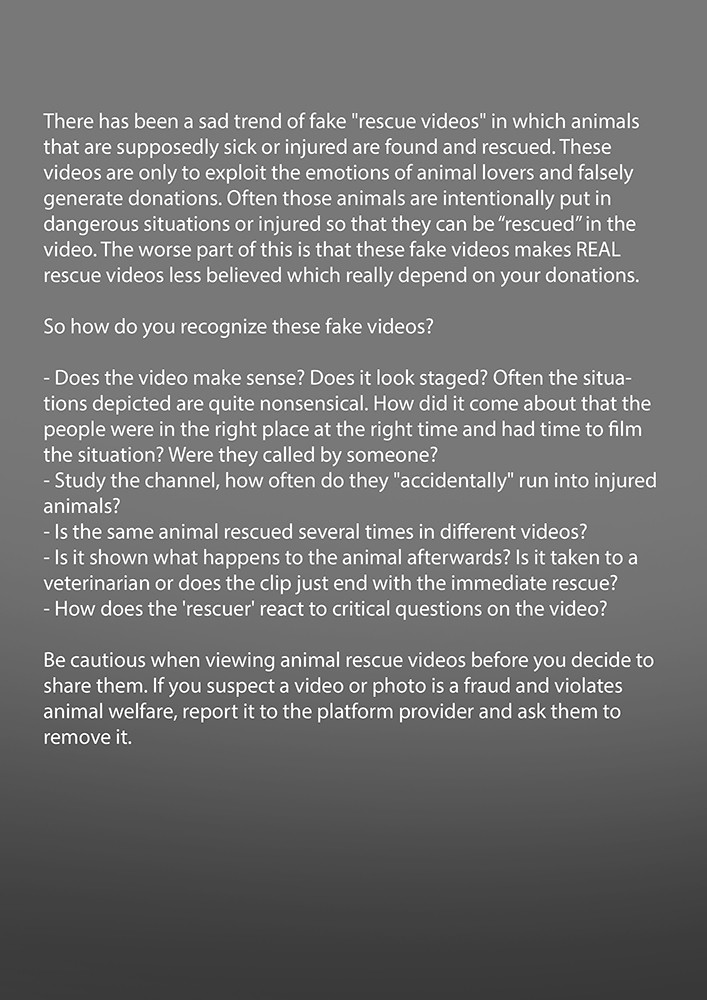 The Big ImageBoard (TBIB) - comic english text greyscale jenny jinya monochrome public service ...