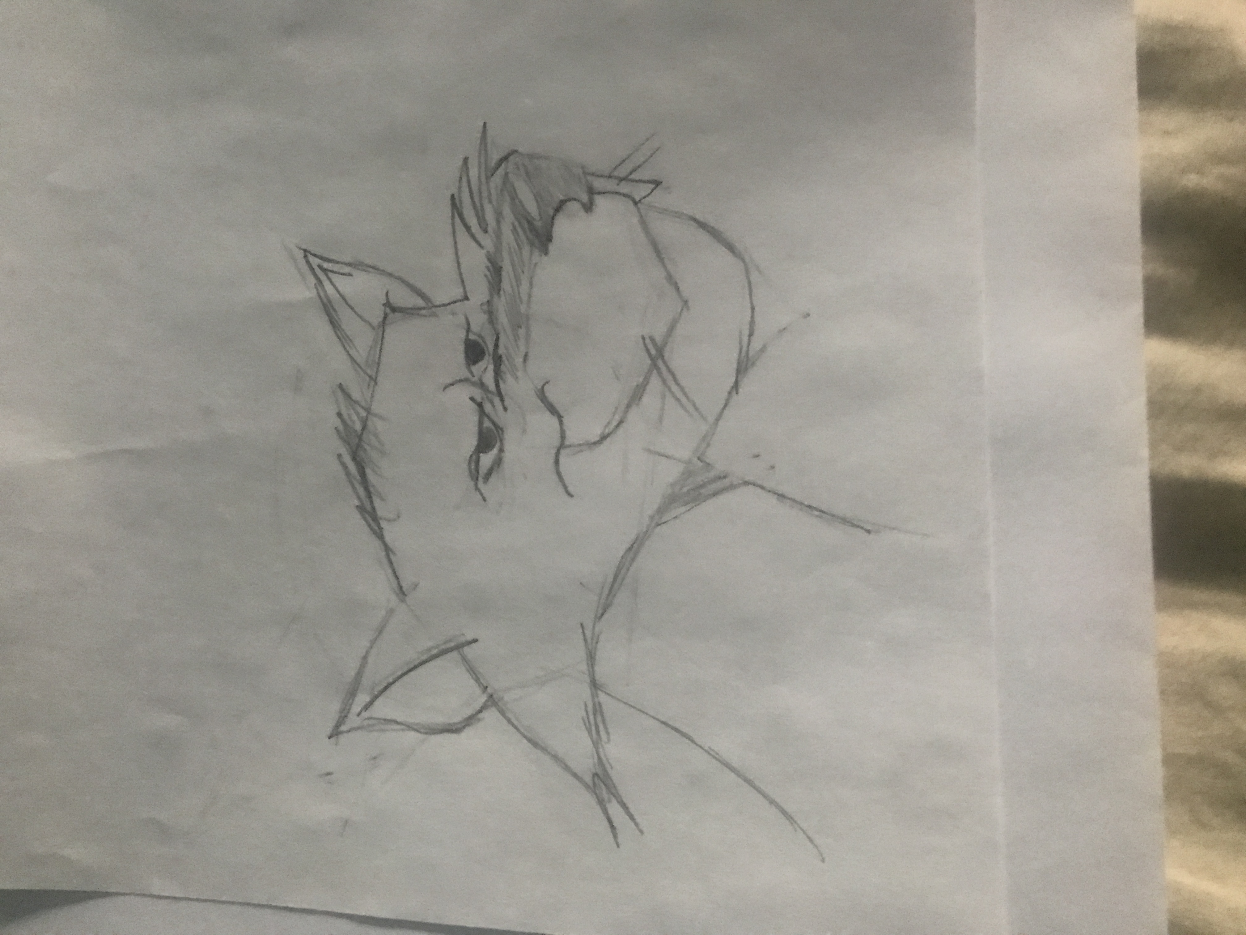 The Big ImageBoard (TBIB) - absurd res anthro canid canine canis fluffout hi res his is male ...