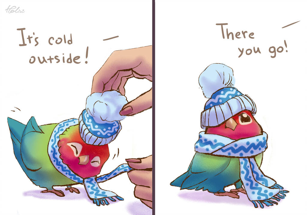 The Big Imageboard Tbib 2018 Ambiguous Gender Avian Bird Dialogue