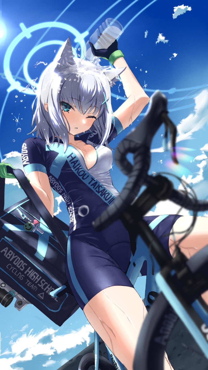 The Big ImageBoard (TBIB) - 1girl animal ear fluff animal ears assault rifle bicycle blue ...