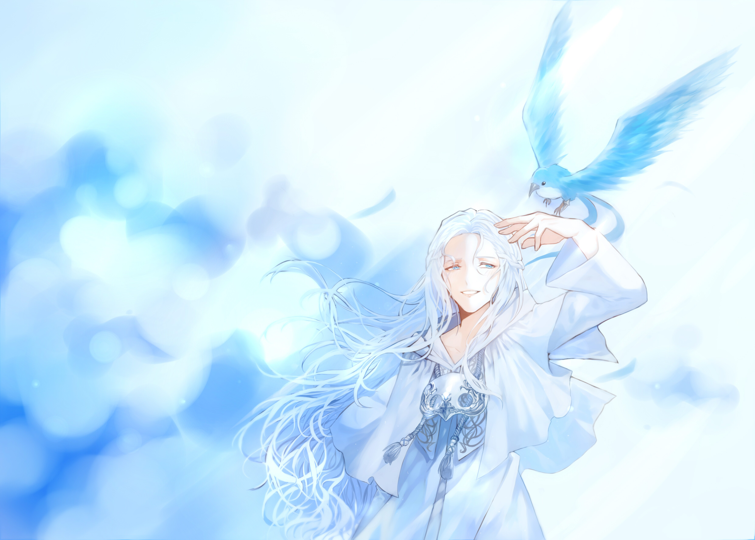 The Big ImageBoard (TBIB) - 1girl bird bird on hand blue bird blue eyes ...