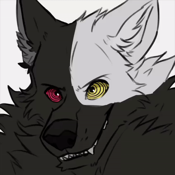 The Big ImageBoard (TBIB) - animated anthro azki (azki wolf) black body black fur canid canine ...