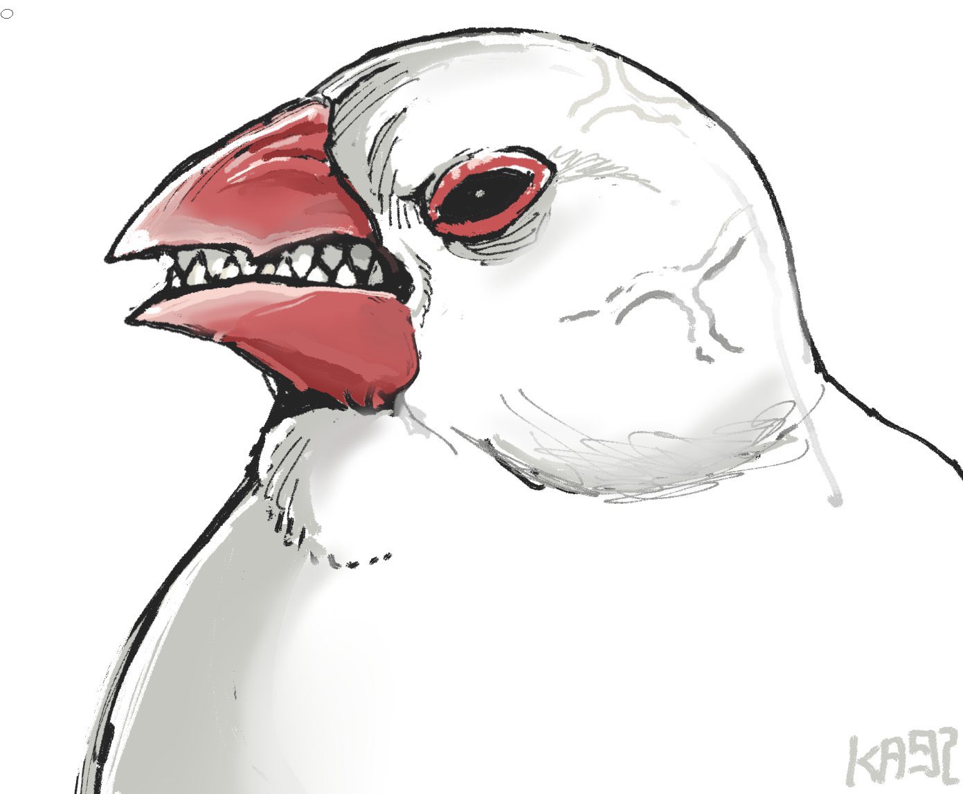 The Big ImageBoard (TBIB) - 2025 ambiguous gender angry artist name avian beak bird black eyes ...