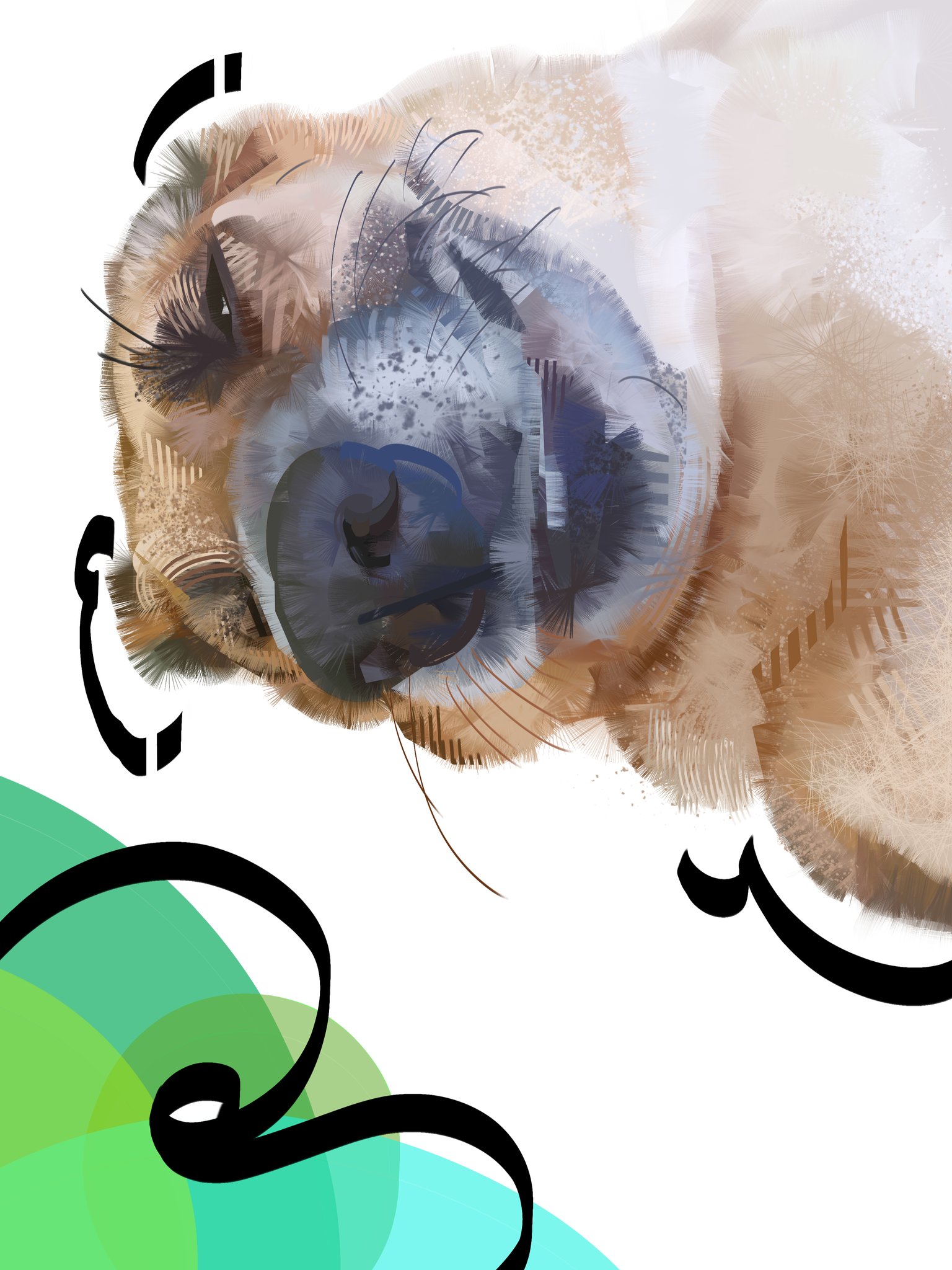 The Big ImageBoard (TBIB) - ambiguous gender black nose canid canine canis digital media ...