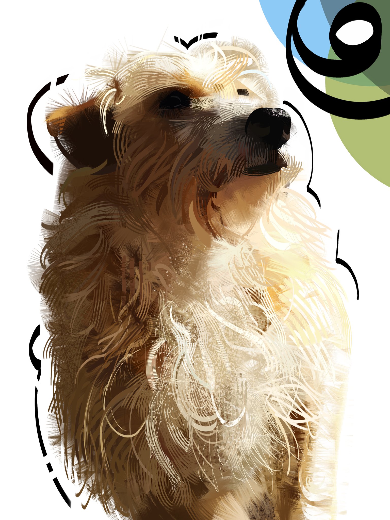 The Big ImageBoard (TBIB) - ambiguous gender black nose canid canine canis digital media ...