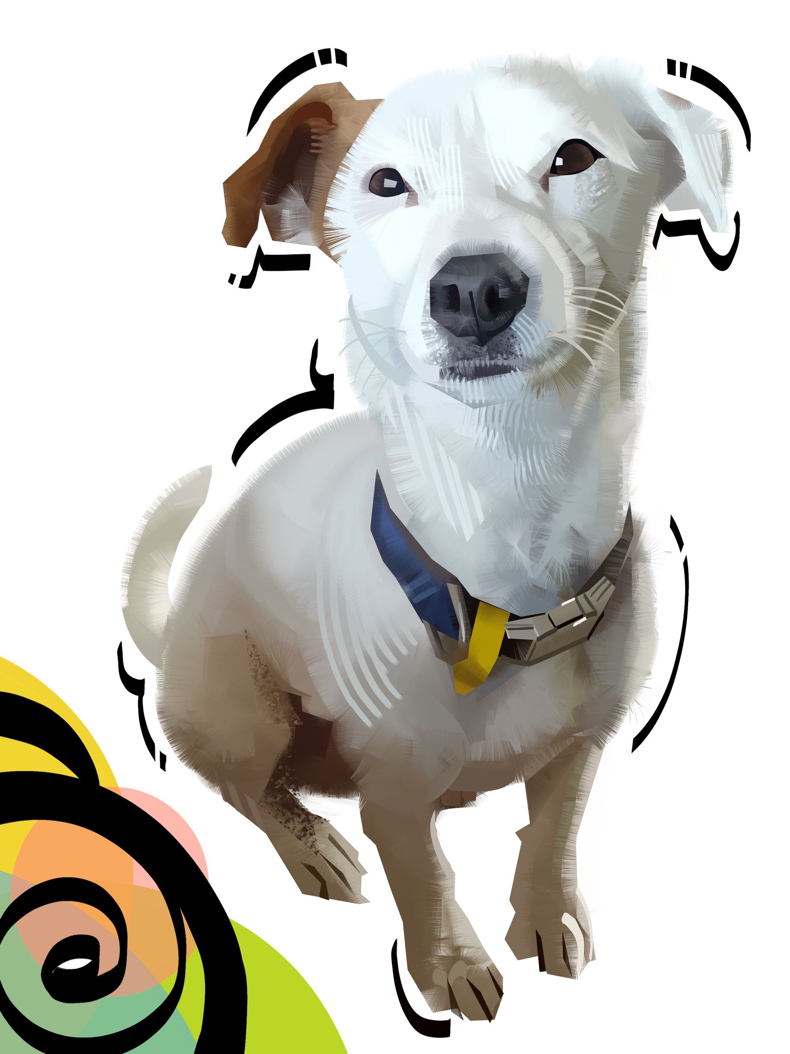 The Big ImageBoard (TBIB) - ambiguous gender black nose canid canine canis collar digital media ...