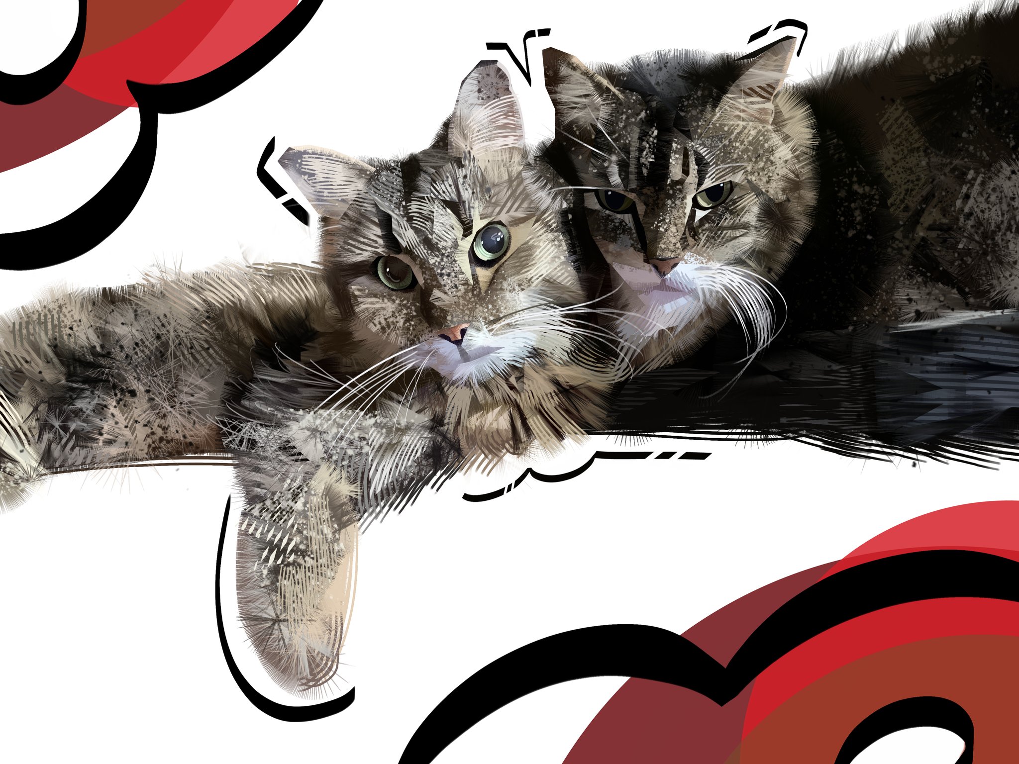 The Big ImageBoard (TBIB) - ambiguous gender domestic cat duo felid ...