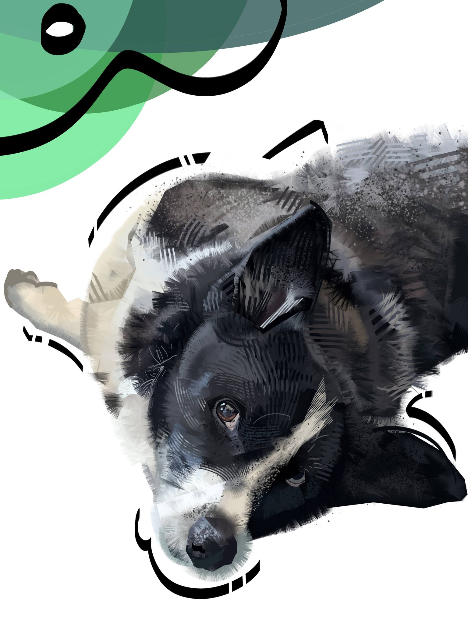 The Big ImageBoard (TBIB) - ambiguous gender black body black fur black nose canid canine canis ...