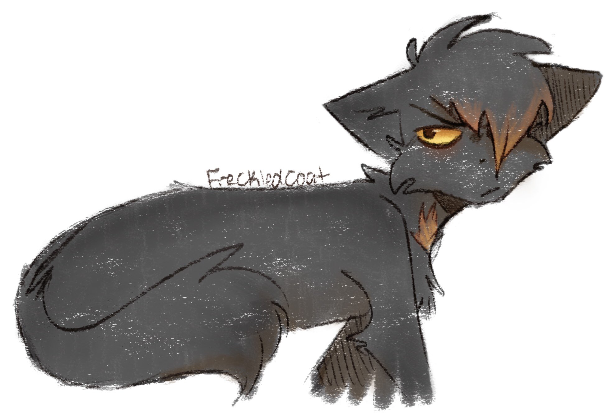 The Big ImageBoard (TBIB) - 2022 bangs domestic cat emo felid feline ...