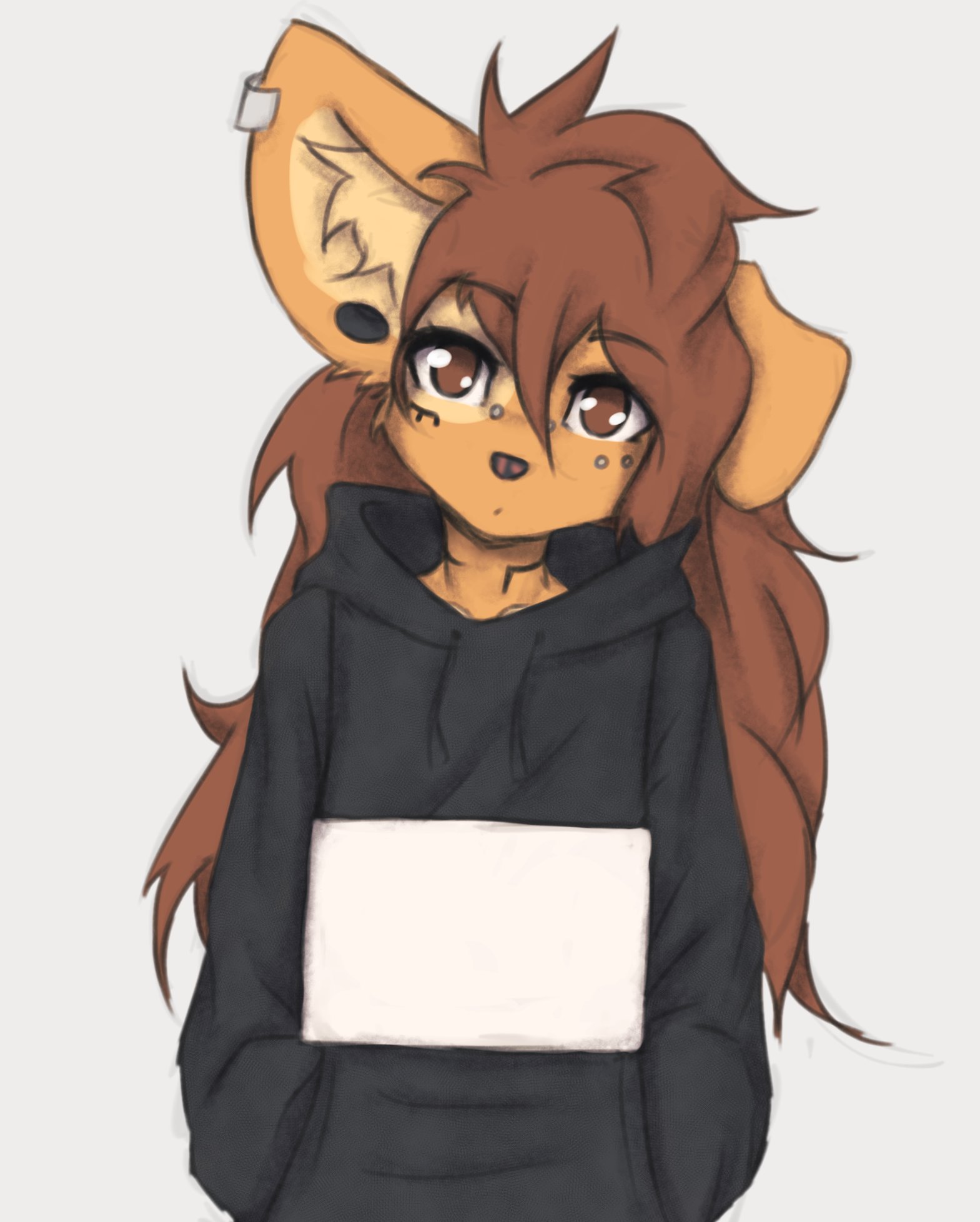 The Big ImageBoard (TBIB) - anthro apogee (tinygaypirate) black nose brown body brown eyes brown ...