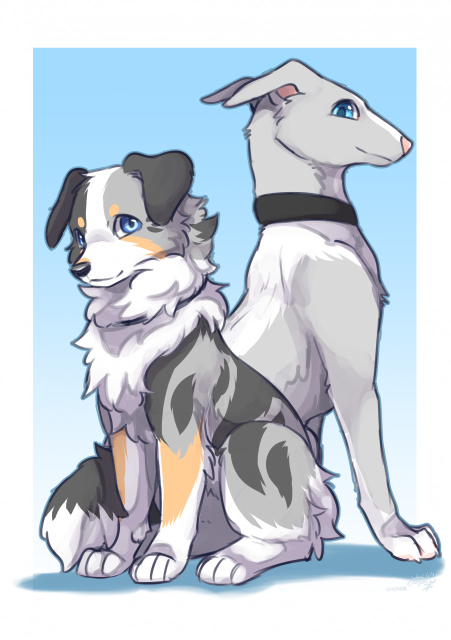 The Big ImageBoard (TBIB) - 4 toes australian shepherd belly black ears black markings black ...