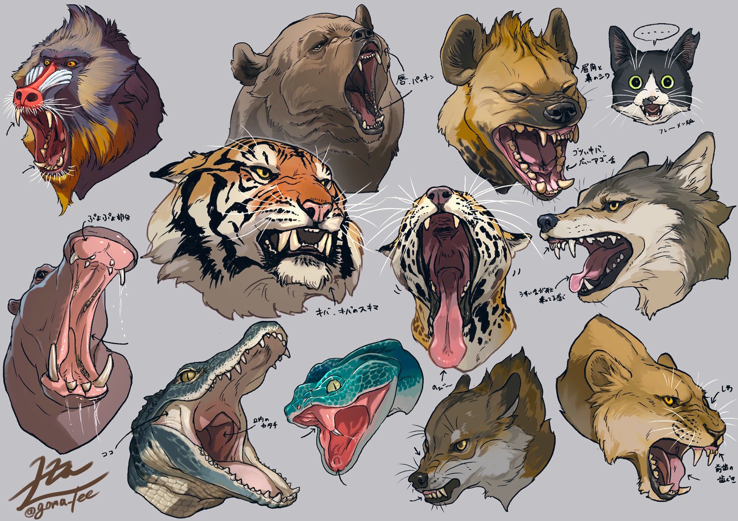 The Big ImageBoard (TBIB) - ambiguous gender bear canid canine canis ...