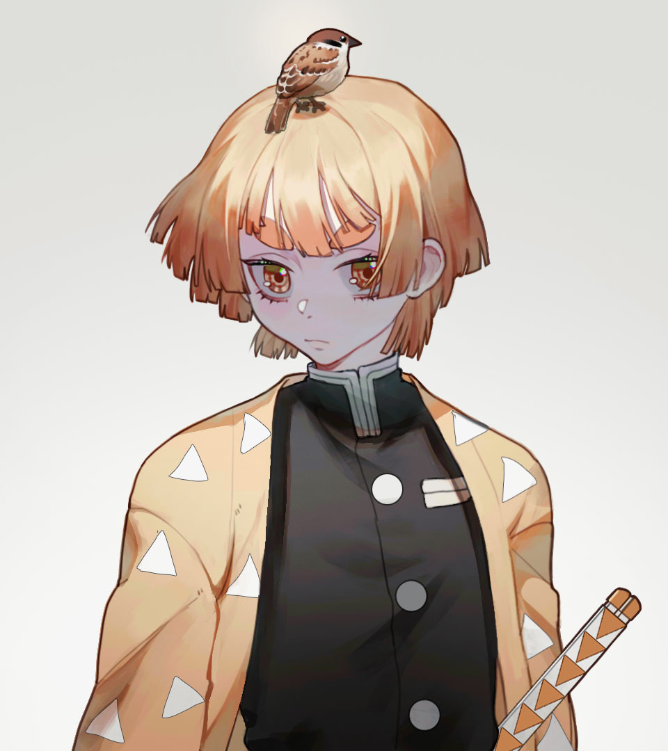 The Big ImageBoard (TBIB) - 1boy agatsuma zenitsu animal on head bird ...