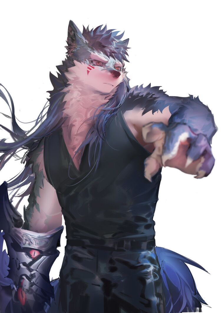 The Big ImageBoard (TBIB) - anthro canid canine canis cheek tuft chest ...