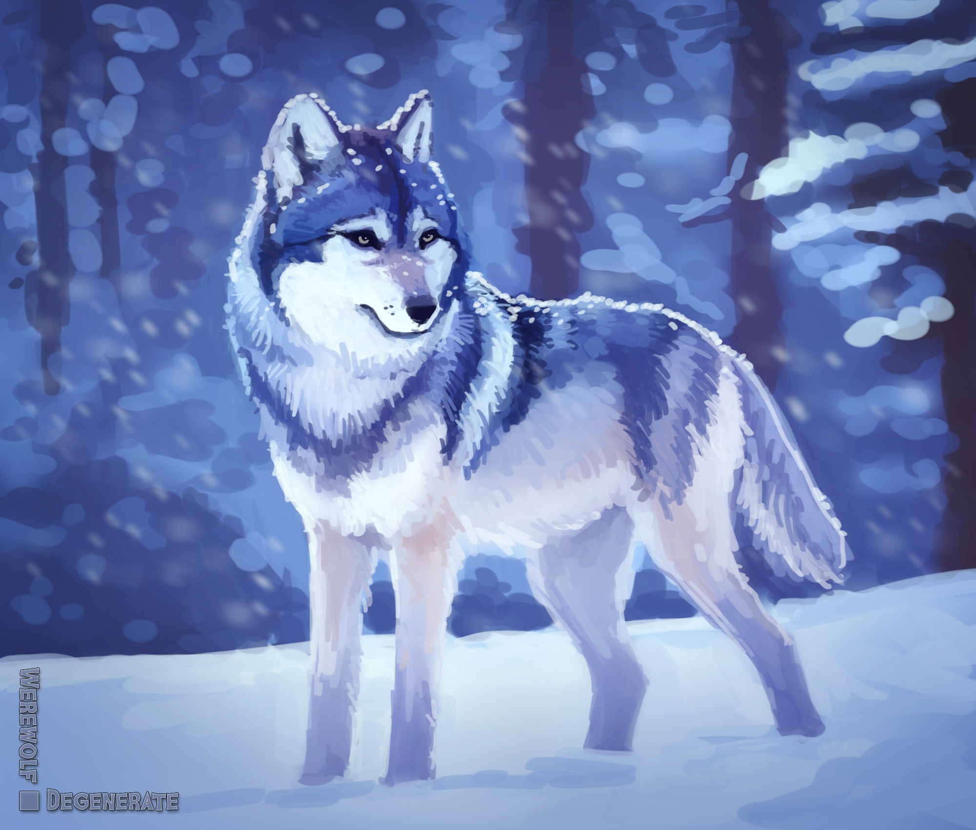 The Big ImageBoard (TBIB) - ambiguous gender black nose blue body blue fur canid canine canis ...