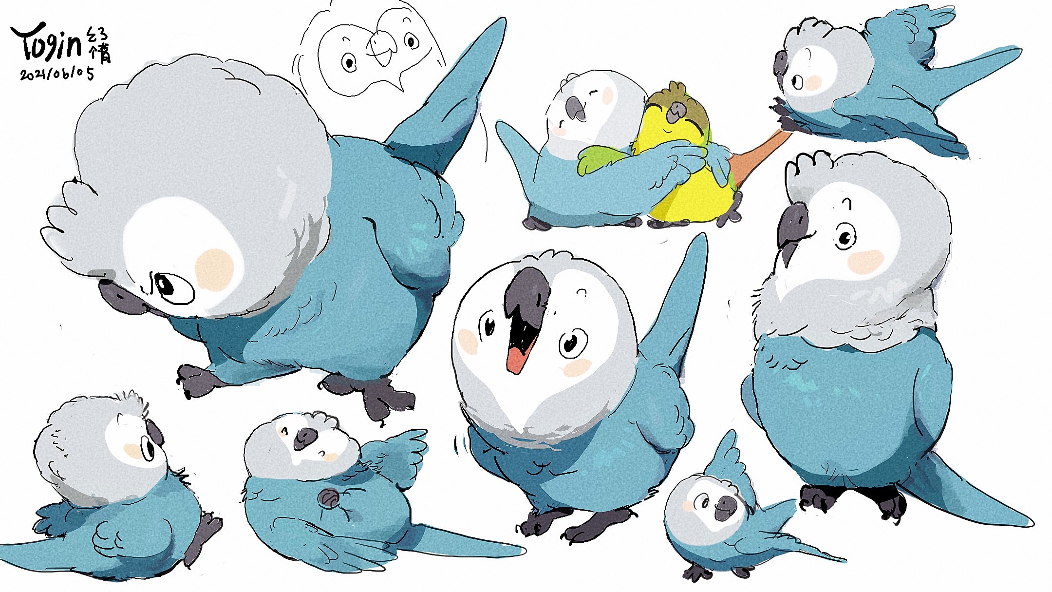 The Big ImageBoard (TBIB) - 16:9 2021 ambiguous gender avian bird ...
