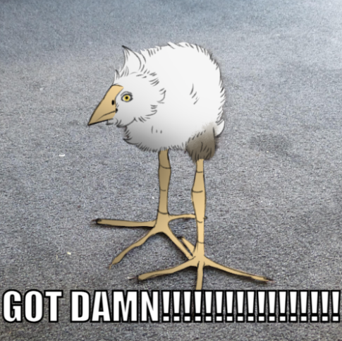 The Big ImageBoard (TBIB) - 2023 ambiguous gender asphalt avian avian feet beak biped bird ...