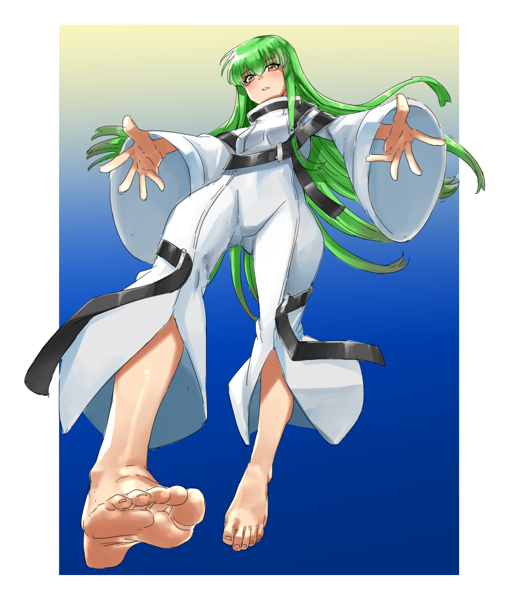 The Big ImageBoard (TBIB) - 1girl barefoot bodysuit border c.c. code ...