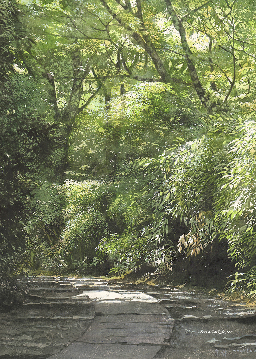 The Big ImageBoard (TBIB) - bush cobblestone day forest grass highres ...