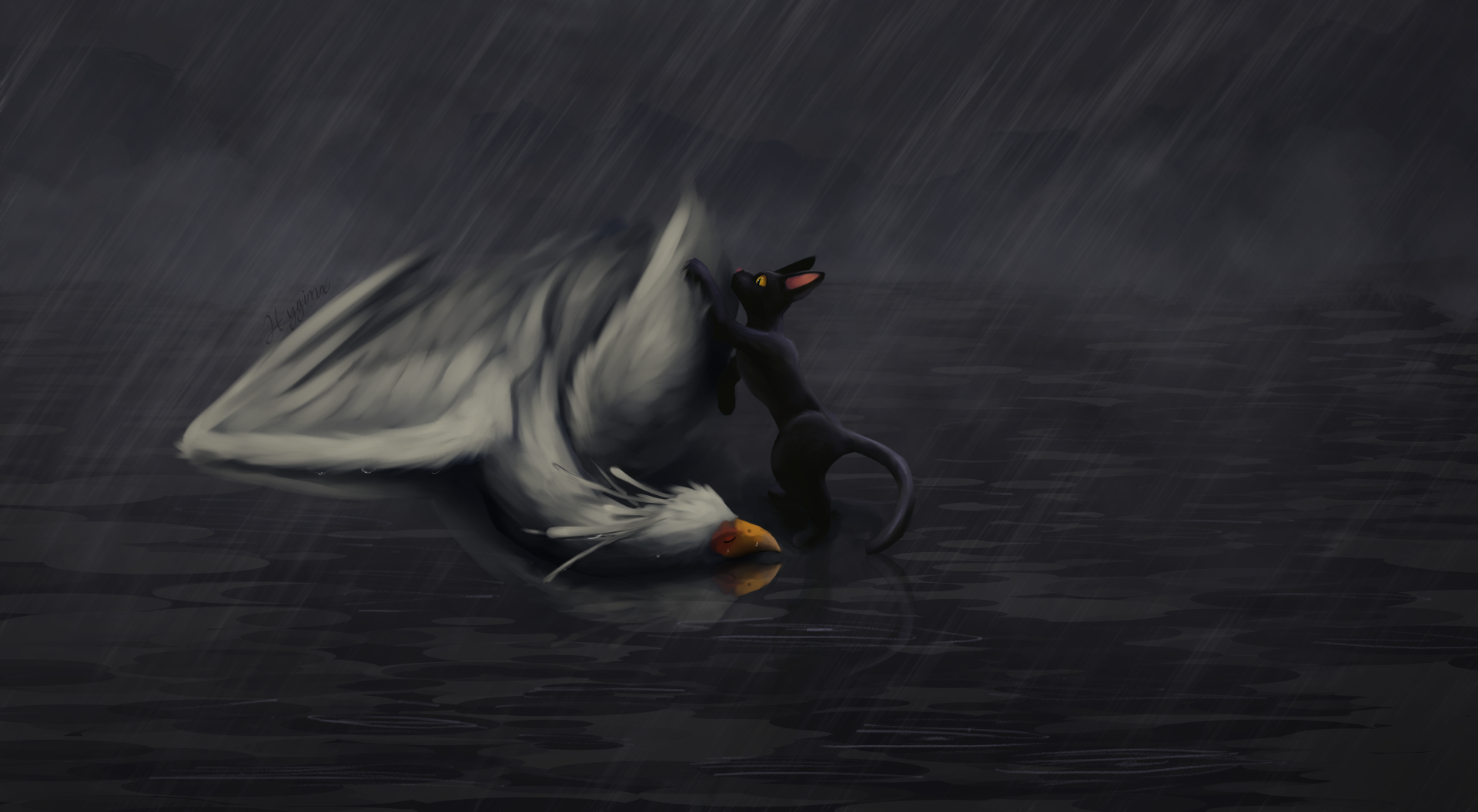 The Big ImageBoard (TBIB) - accipitriform avian bird domestic cat felid ...