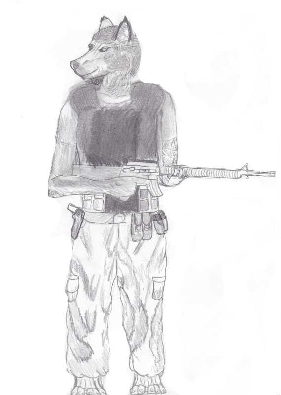 The Big ImageBoard (TBIB) - anonymous artist anthro ar-15 armor assault rifle belt biped body ...
