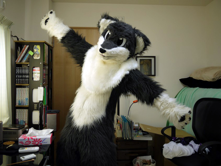 The Big ImageBoard (TBIB) - ambiguous gender anthro bed canid canine chair clothing cosplay ...