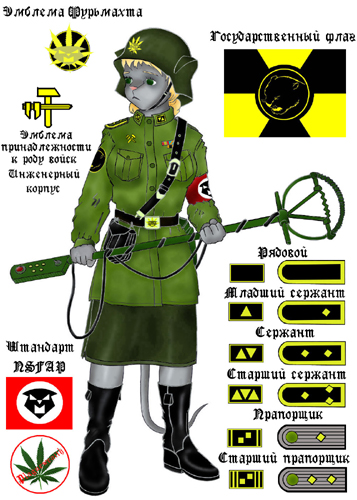 The Big ImageBoard (TBIB) - anthro armor army army helmet boots ...