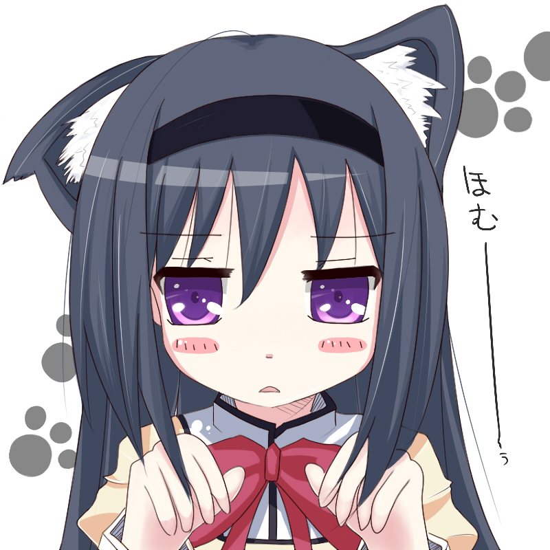 The Big Imageboard Tbib
