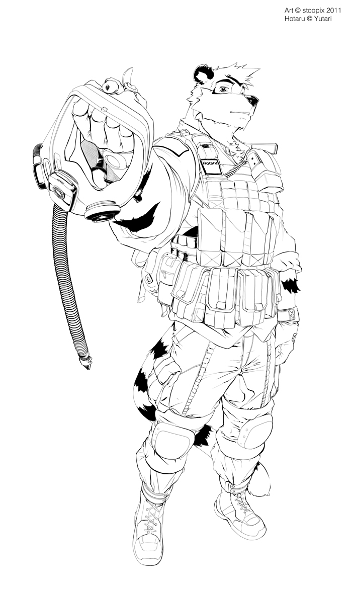 The Big ImageBoard (TBIB) - feline helmet looking at viewer male mammal ...